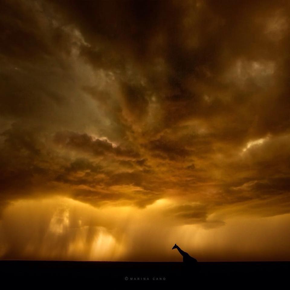 Pesnici i novac, Charles Simic | HYPOMNEMATA