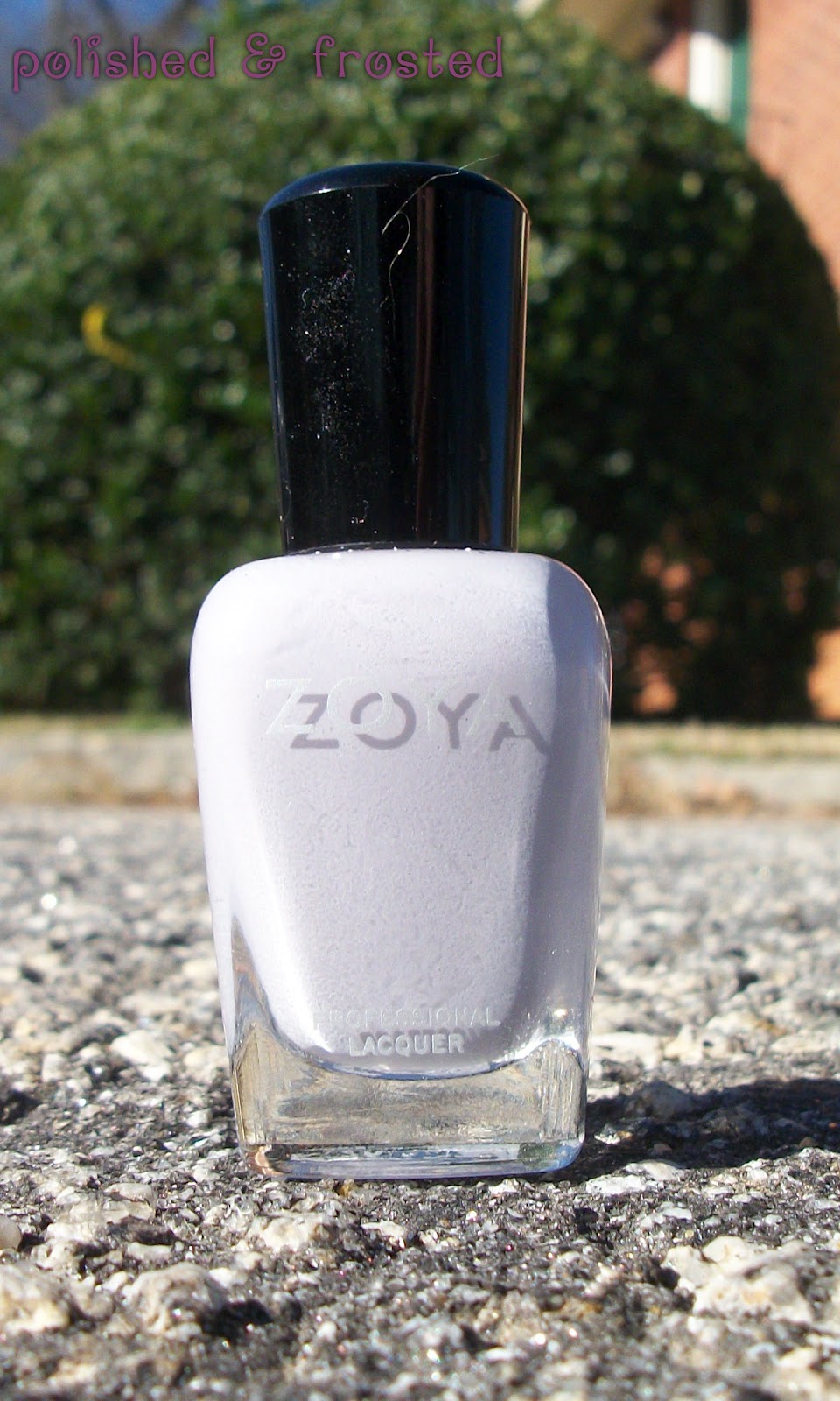 polished & frosted: Zoya Megan