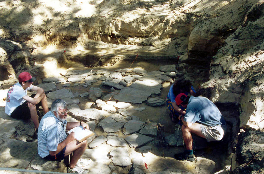 The World of Norfolk's MuseumThe World of Norfolk's Museum: Polynesian ...