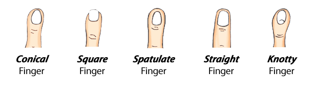 SINGPOST~ QUEST FOR AMUSEMENT: Which Finger Type Are You?