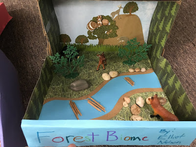 Kara's Happy Classroom: Animal Habitats Project