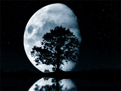 Pacific Of My Emotions~~~~~~~~: A Blue Moon and the Yew Tree