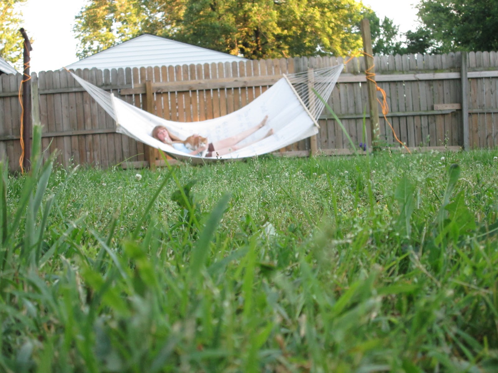 and kitty makes three: Project: Hammock