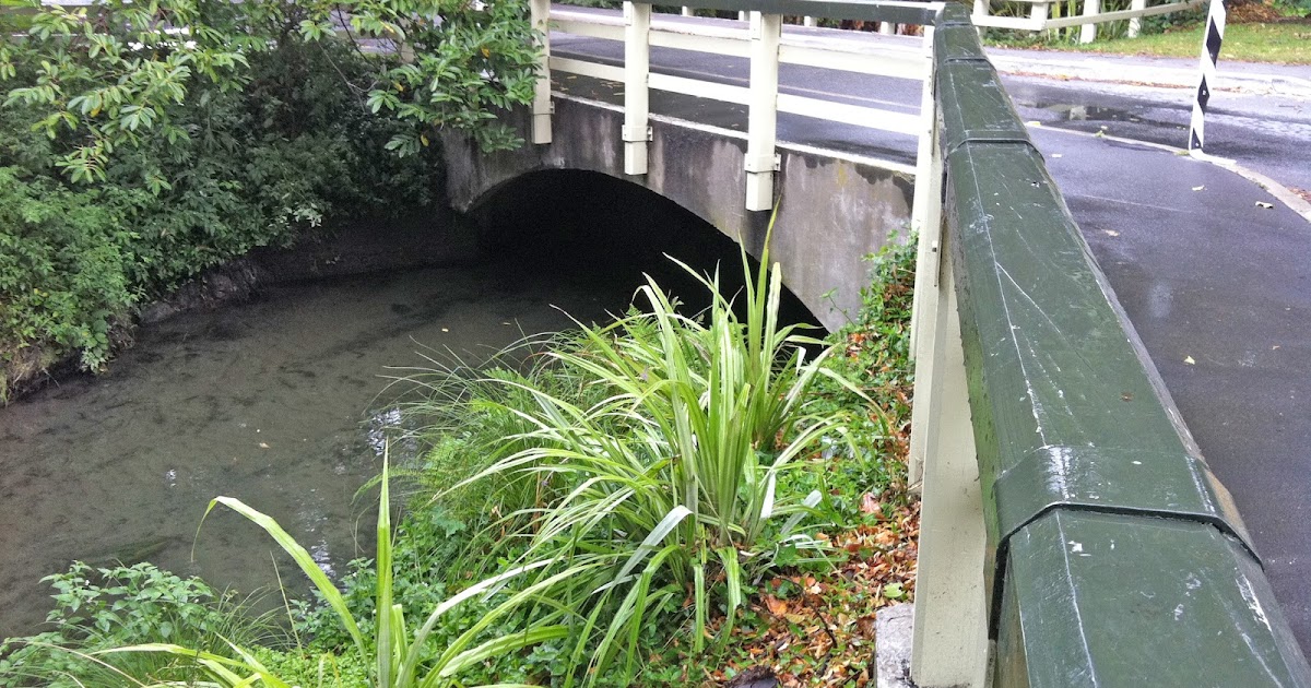 Bridge of the Week: New Zealand's Bridges: Harakeke Street Arch Culvert ...