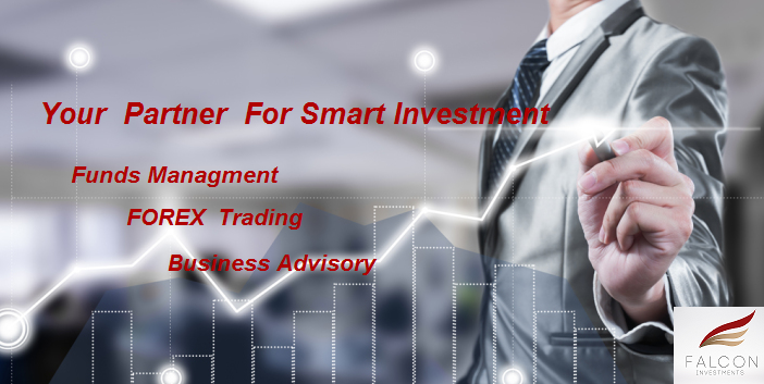 FALCON Investments Management