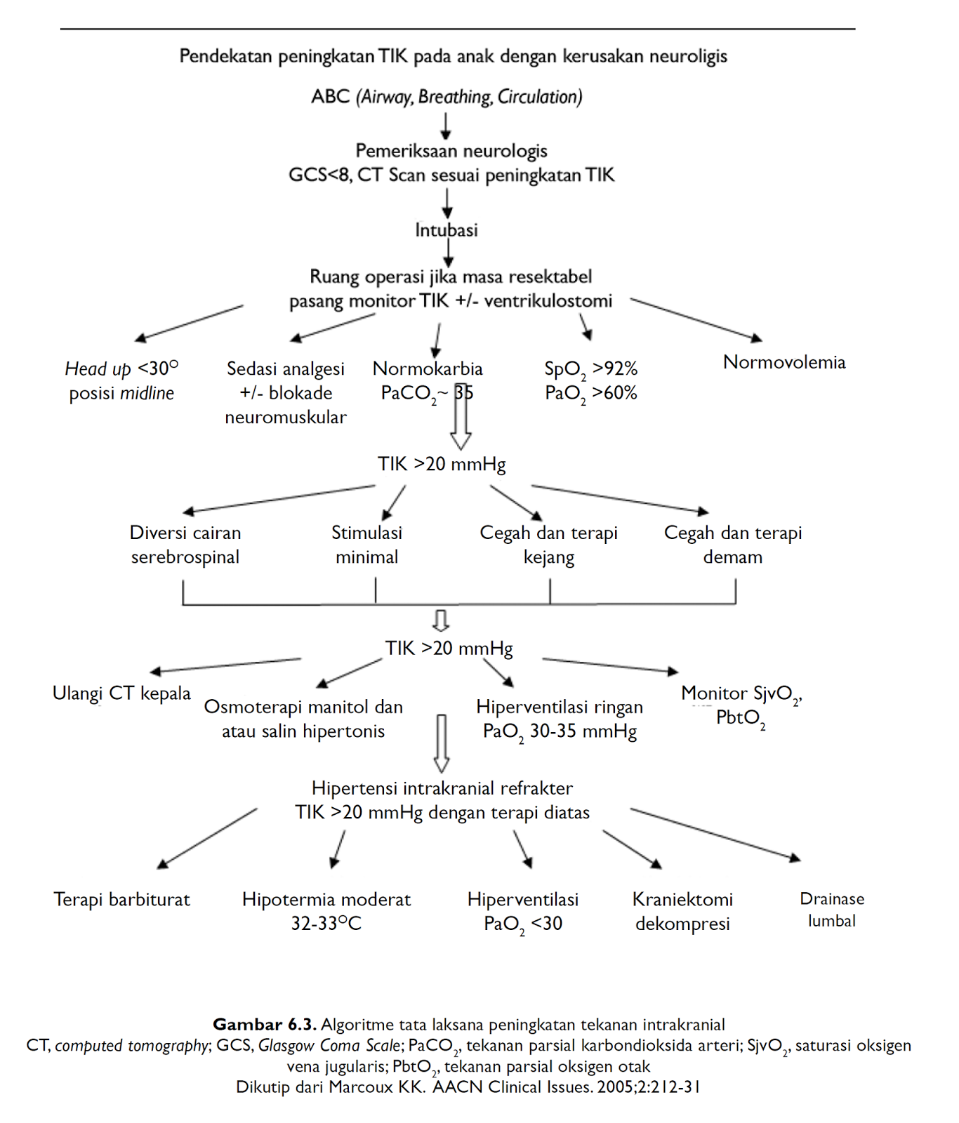 Peningkatan Tekanan Intrakranial Pada Anak ~ Panduan Praktik Klinis ...