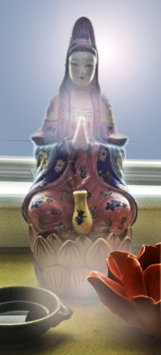 Cynthia Capone Imagery