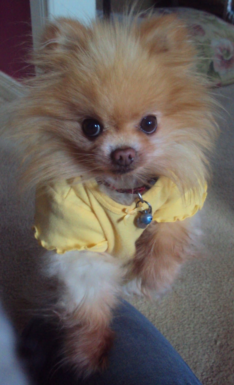 Creating a Respectful Bond via Touch and Play, at the Right Time in the ...