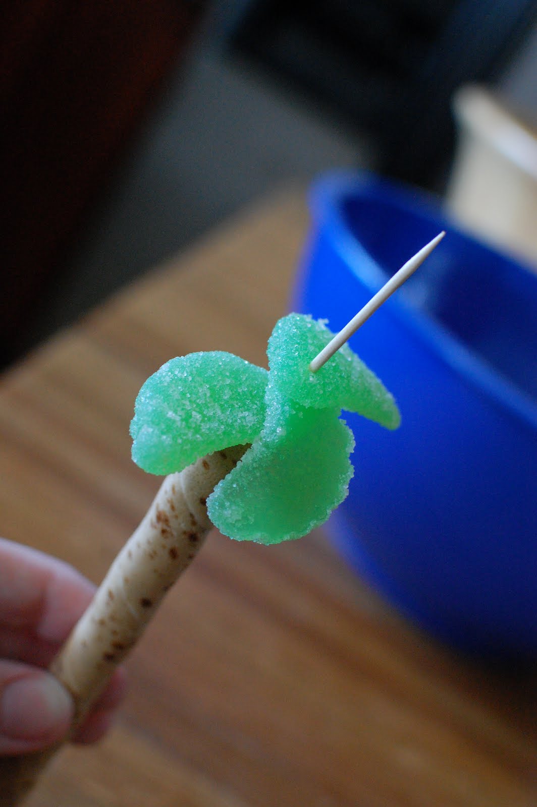 *Random Thoughts of a SUPERMOM!*: Cookie Palm Trees