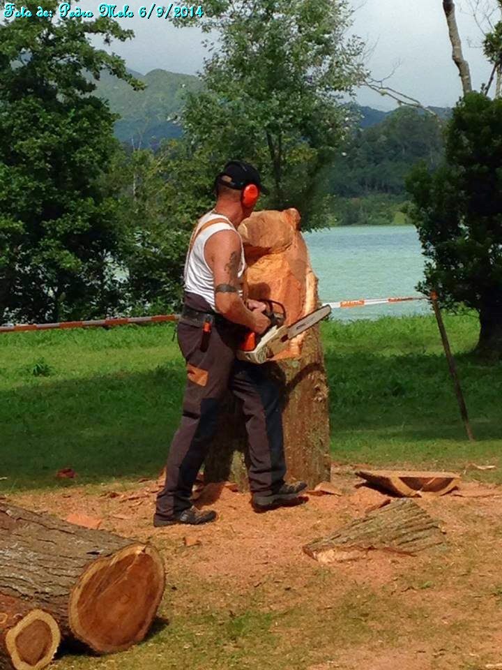 MARGENS DA LAGOA DAS FURNAS COM MAIS ESCULTURAS PARA ADMIRAR ~ Um Olhar ...