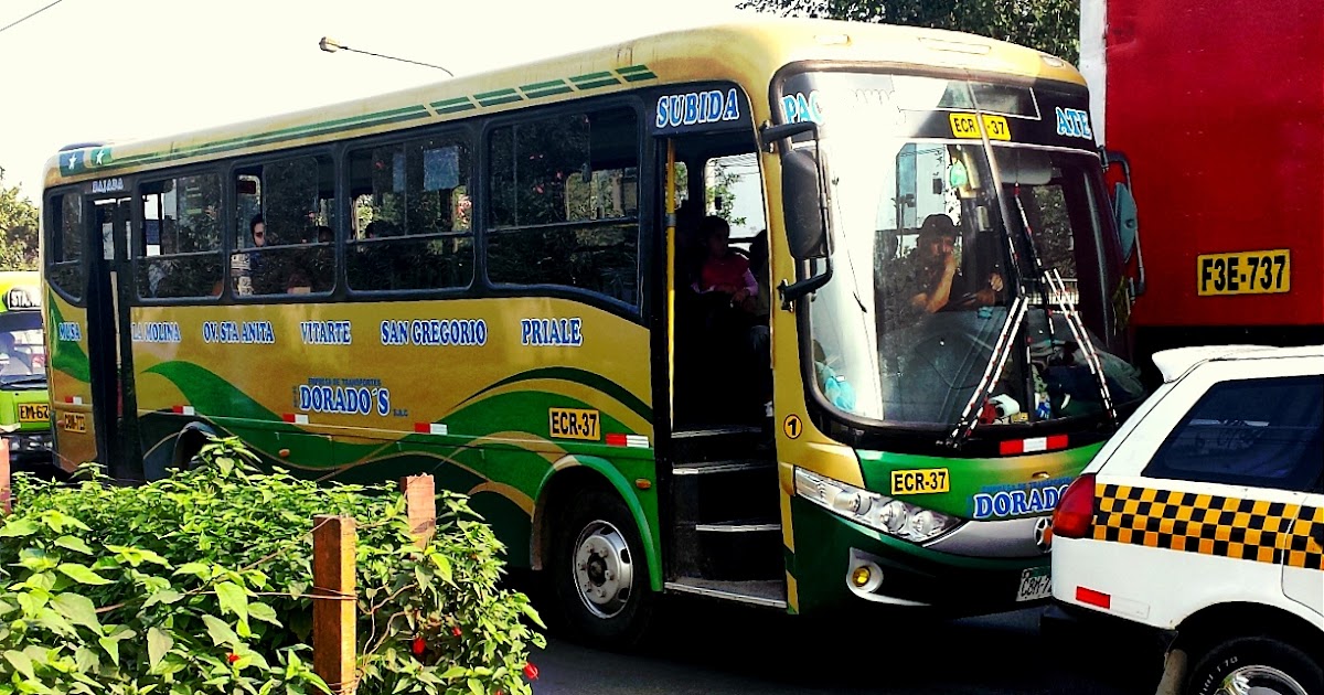 Información del transporte urbano en Lima
