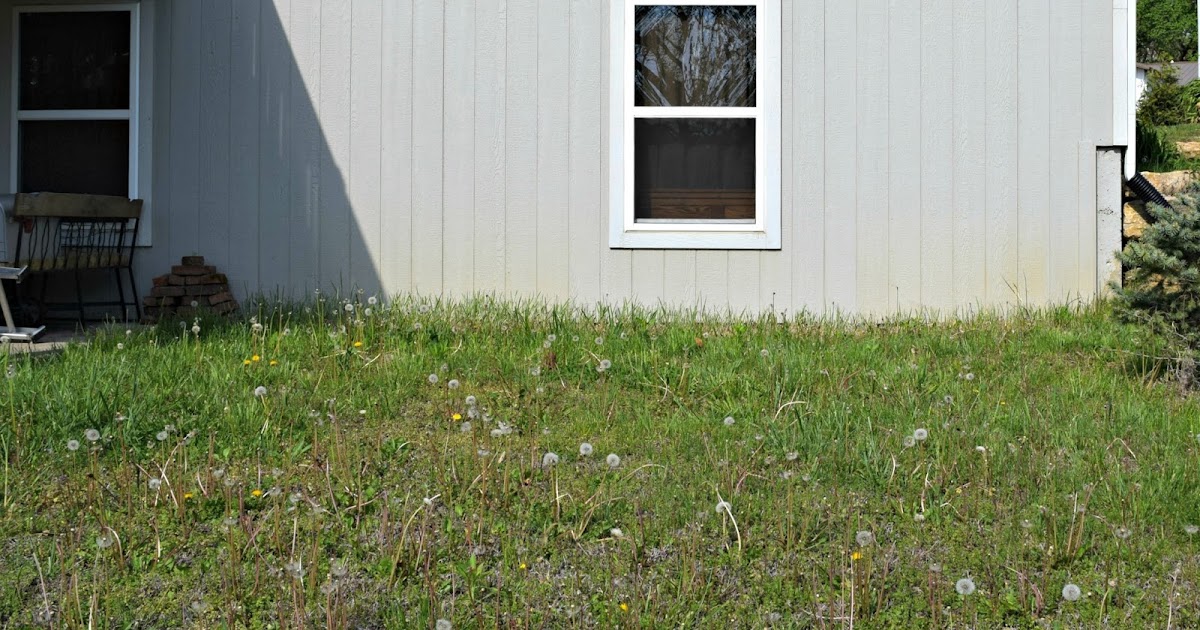 Boring Backyard into a Fantastic Outdoor Entertaining Space
