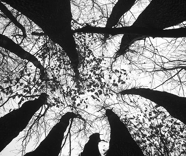 Journey into the unknown: Formal Element: Space [Positive and Negative]