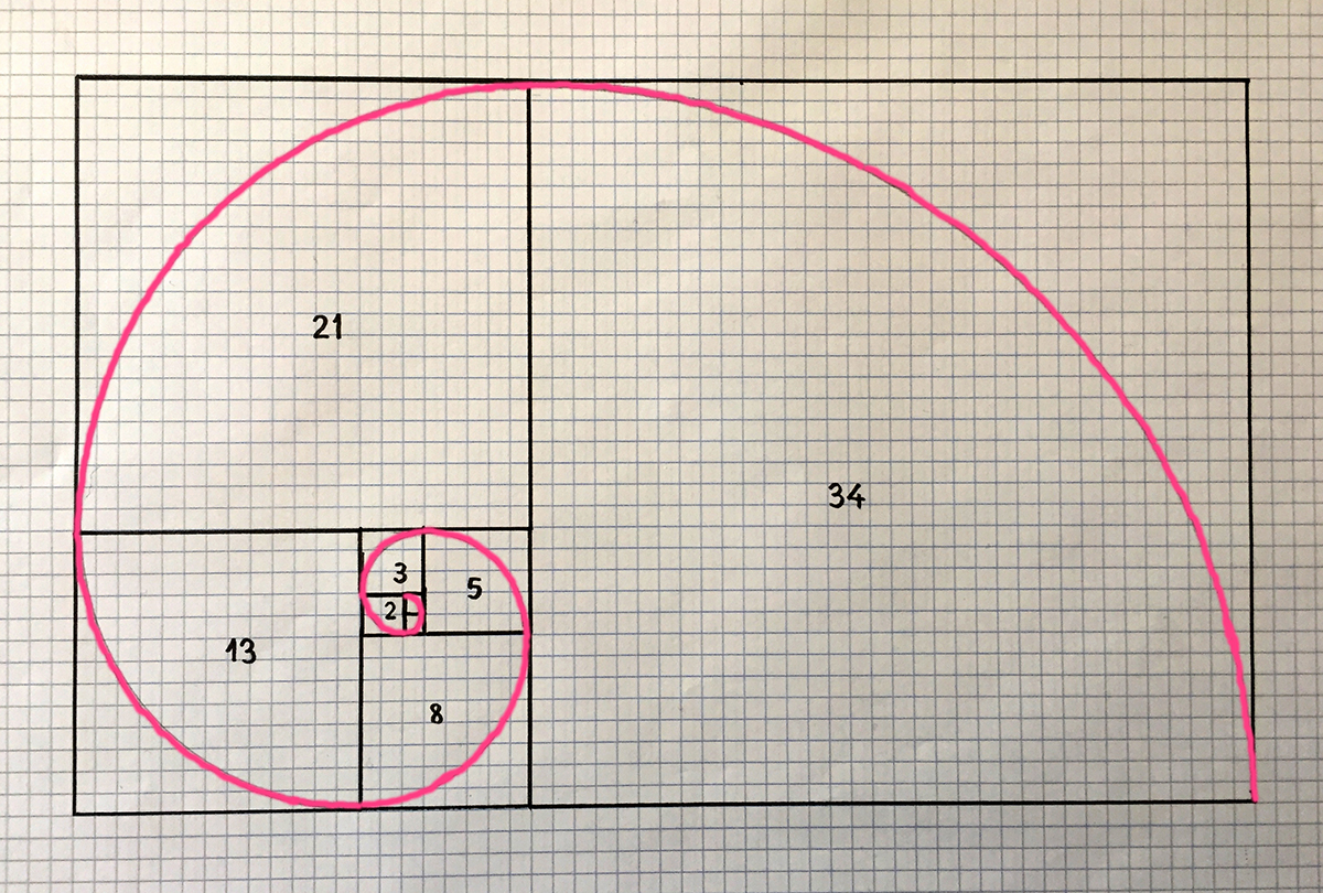 El Matenavegante: La Espiral de Fibonacci (1) : Dibujo en papel