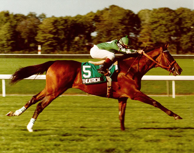 Top 31 Amazing And Dashing Horse Racing Wallpapers In HD