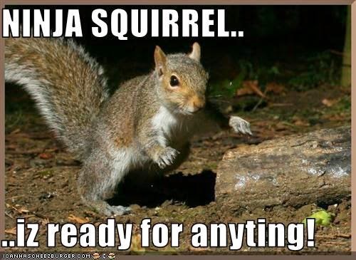 Strike, Rattle, & Roll: My Second Publication Has Video of Ninja Squirrels