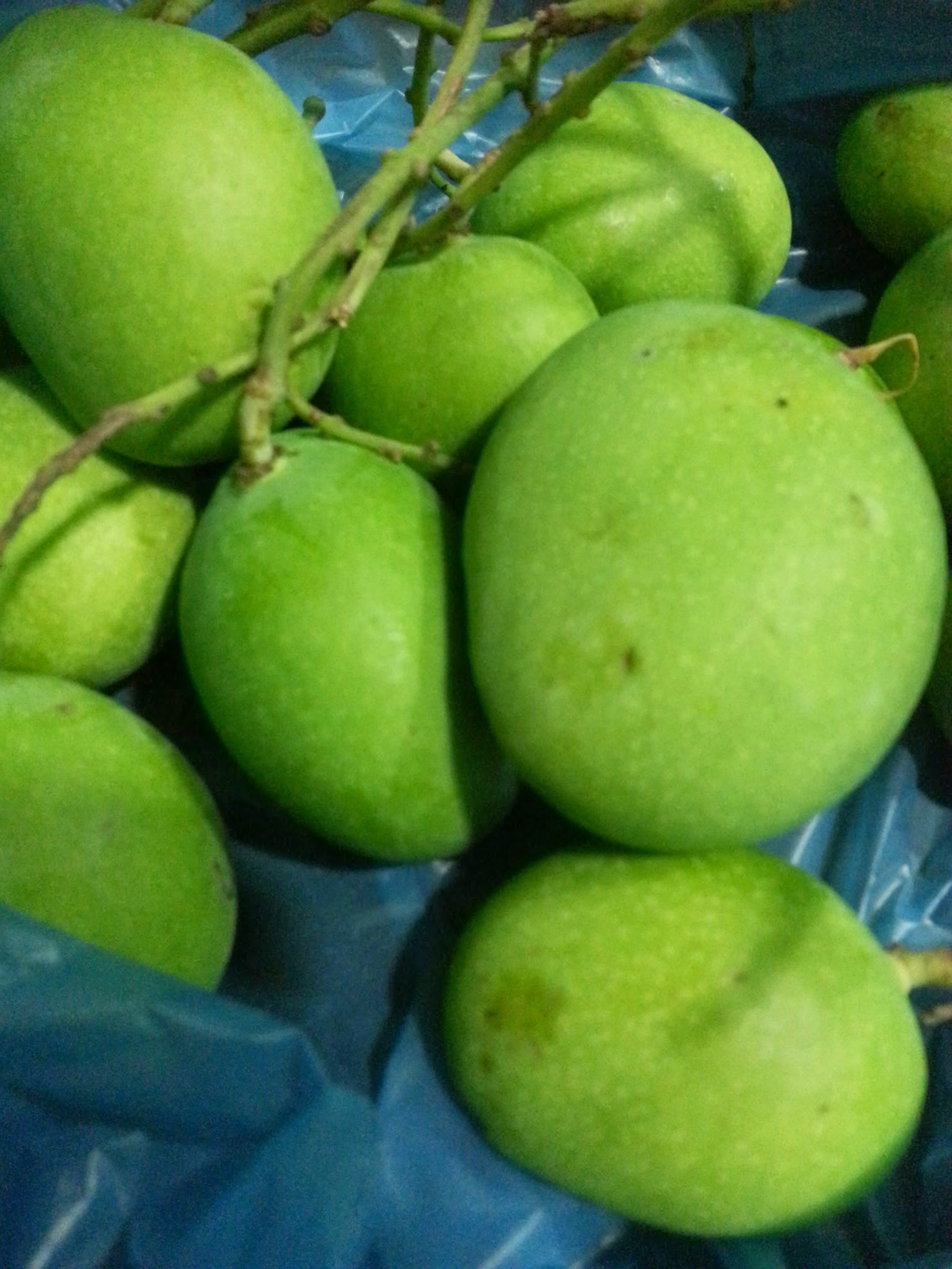 faizaleda: Buah Janggus VS Buah Mempelam