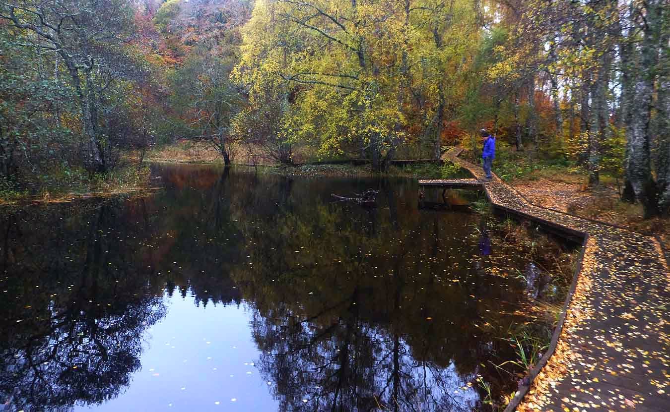 Alex and Bob`s Blue Sky Scotland: Loch Inch. Strathspey.