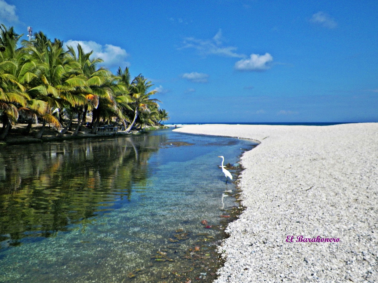Río Los Patos y garza, en Paraíso, Barahona|El Barahonero