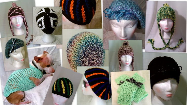 Mrz Jaques Hand Crocheted Items: Lion Brand Homespun "Painted Desert ...