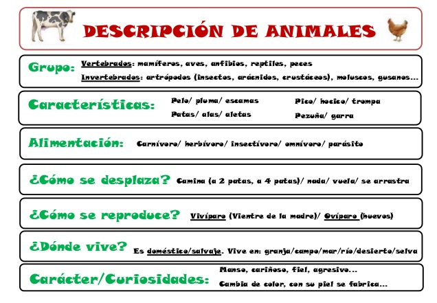 Tercero de Primaria: LA DESCRIPCIÓN
