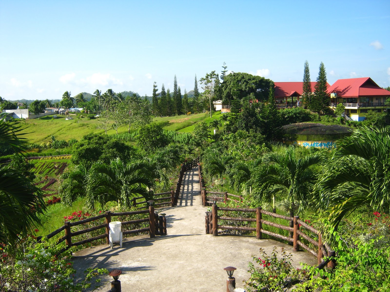 Day Tour Bohol Part 1: Tubigon Port, Sagbayan Peak and Chocolate Hills