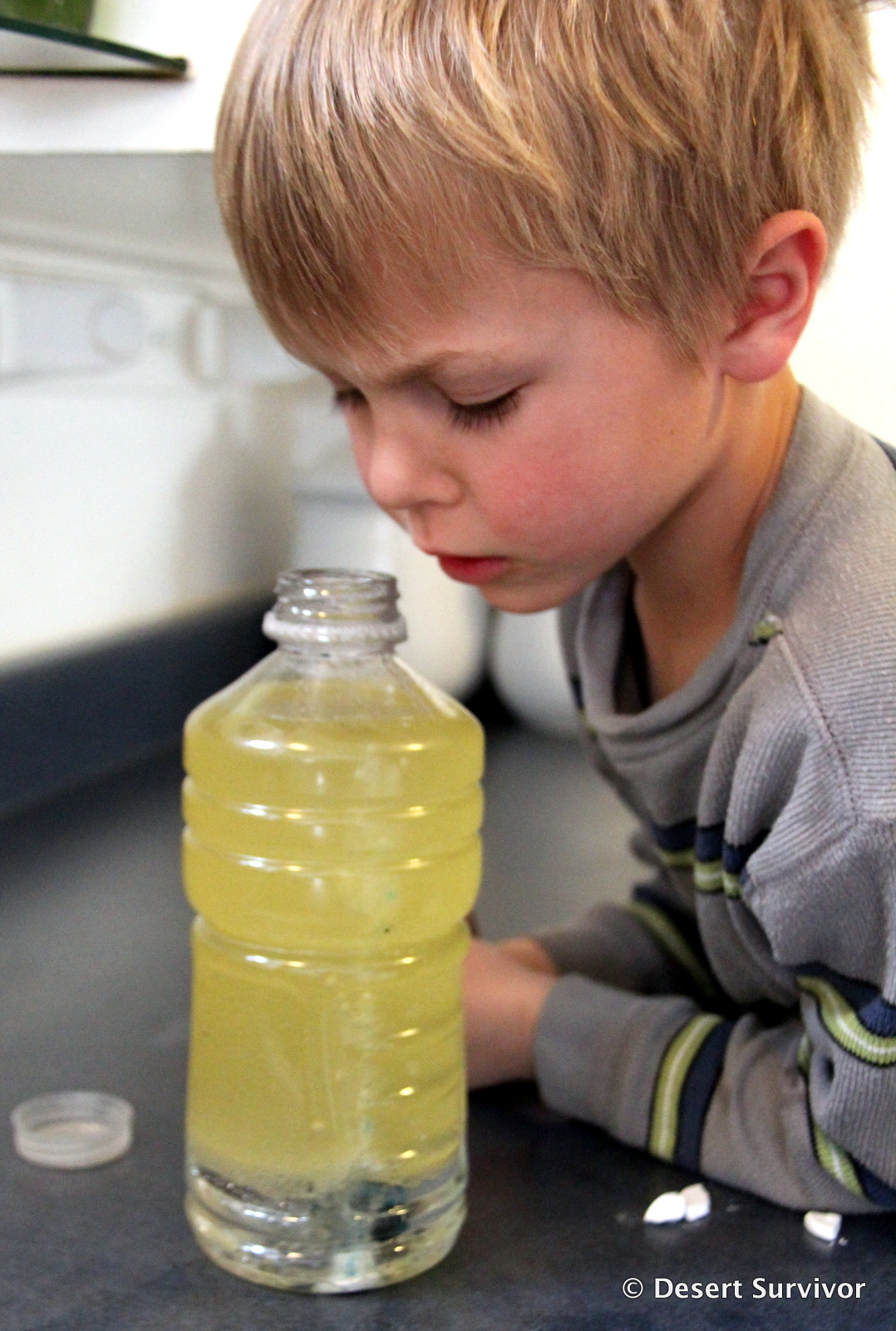 Desert Survivor: Science Experiment: Lava Lamp