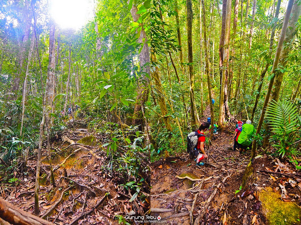 Gunung Tebu 两天一夜甘蔗山露营记 - 乐飞翎 ♥ LUVFEELIN