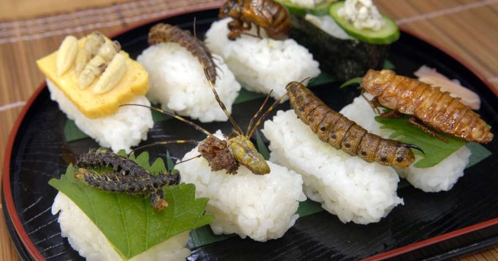Día del Sushi de Insectos en Japón ~ Gastronomia y Postres