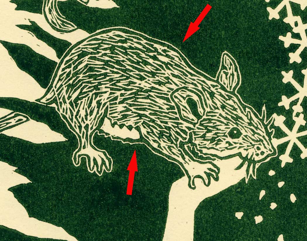 Three Bears Prints: May 2012