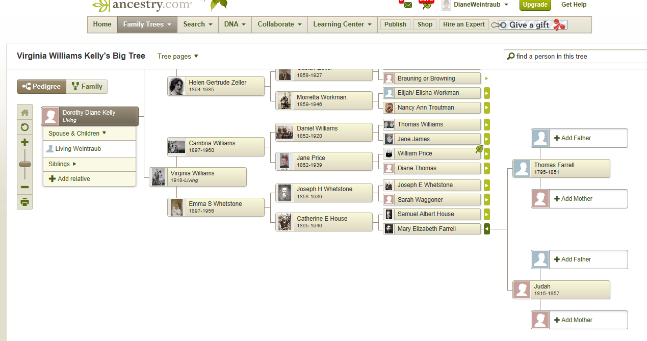 Nuts From the Family Tree: The Thomas and Judah Farrell DNA Project ...