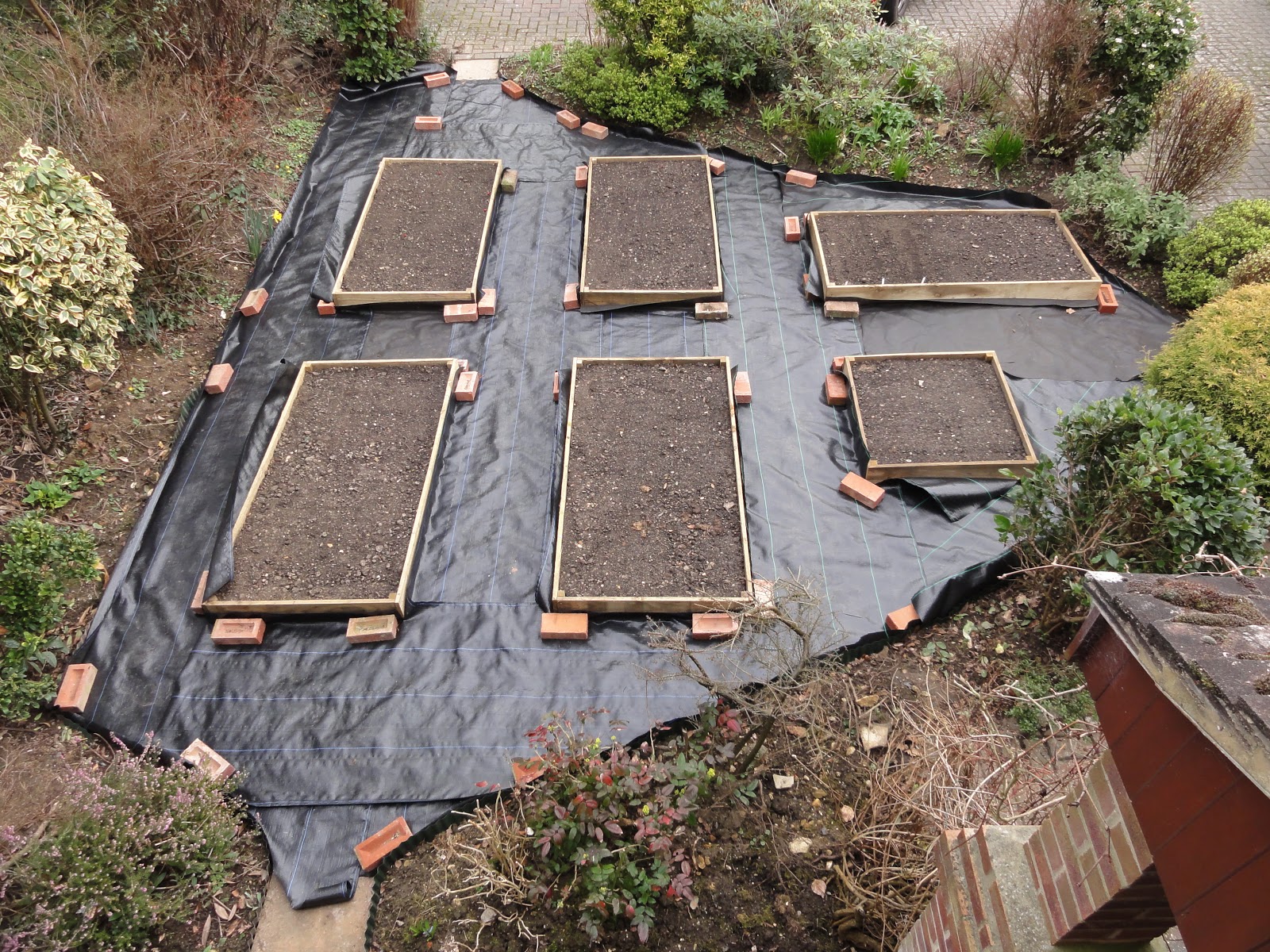 Raising Veg: 2012-03-04