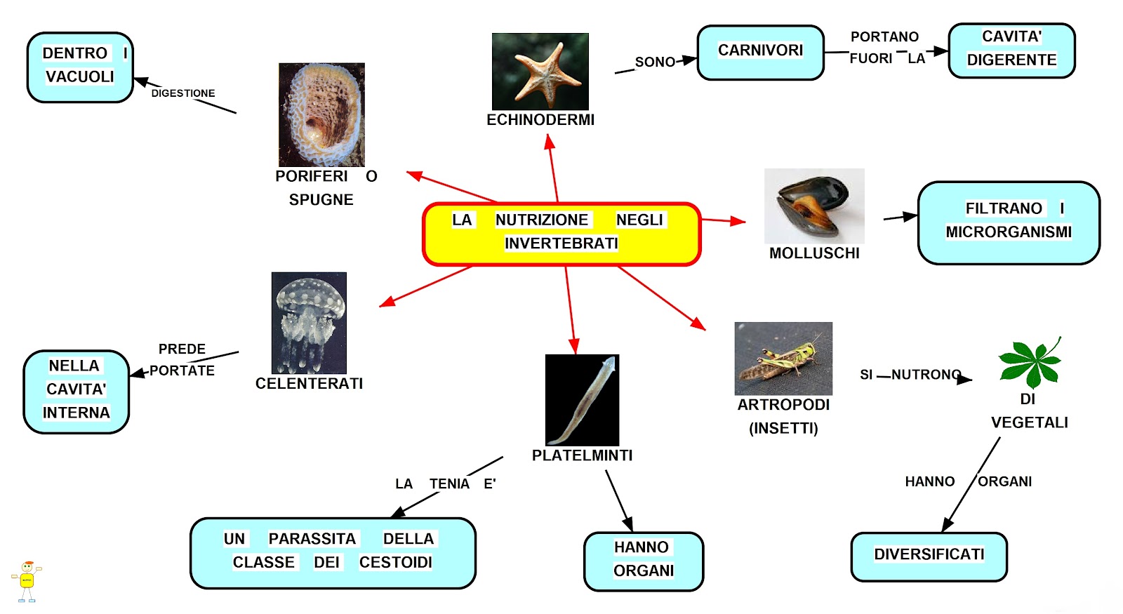 Mappa concettuale: Nutrizione degli invertebrati • Scuolissima.com