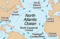 THE NEARSIGHTED BEACHCOMBER: To Clarify: Of the Less Erroneous Pictures ...