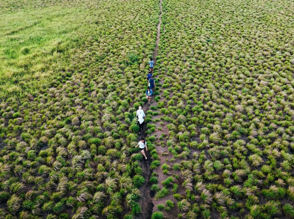 Mengintip Cantiknya Padang Sabana di Pulau Kenawa - THE COLOUR OF INDONESIA
