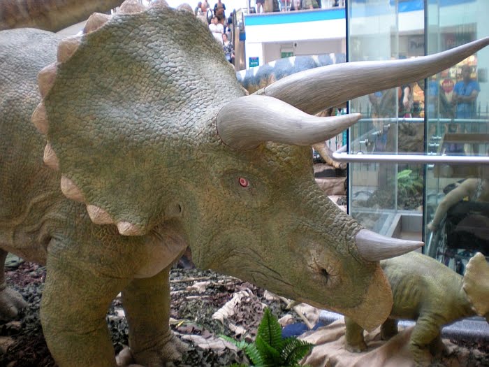 Love in the Time of Chasmosaurs: Dinosaurs-by-Sea