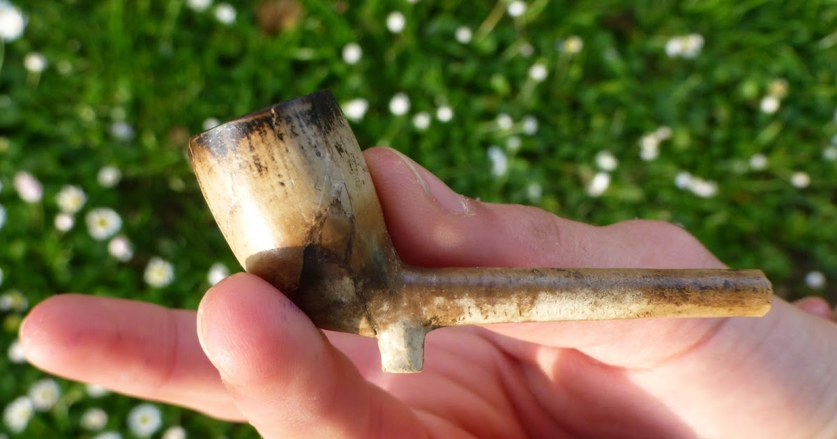 Naturayala: Pipa holandesa en Salvada /Pipa holandarra Salvadan