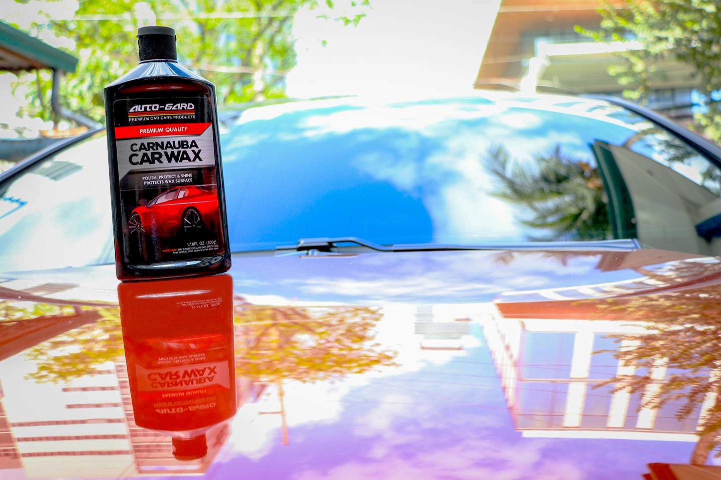 Car Care: Make Heads Turn With Auto-Gard! | Daddy O!