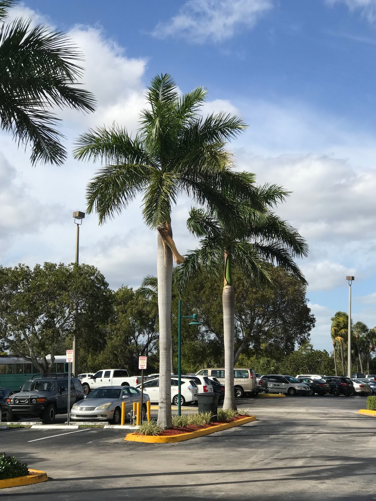 A Bob's Life: Thinking of Florida