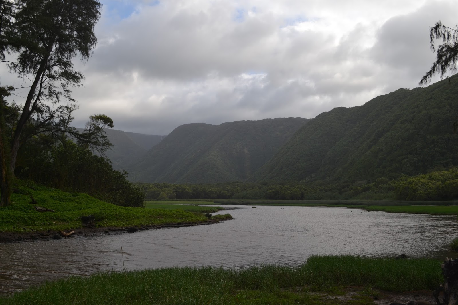 Family Travel Blog : Getting to know the sleepy town of Hawi, Hawaii