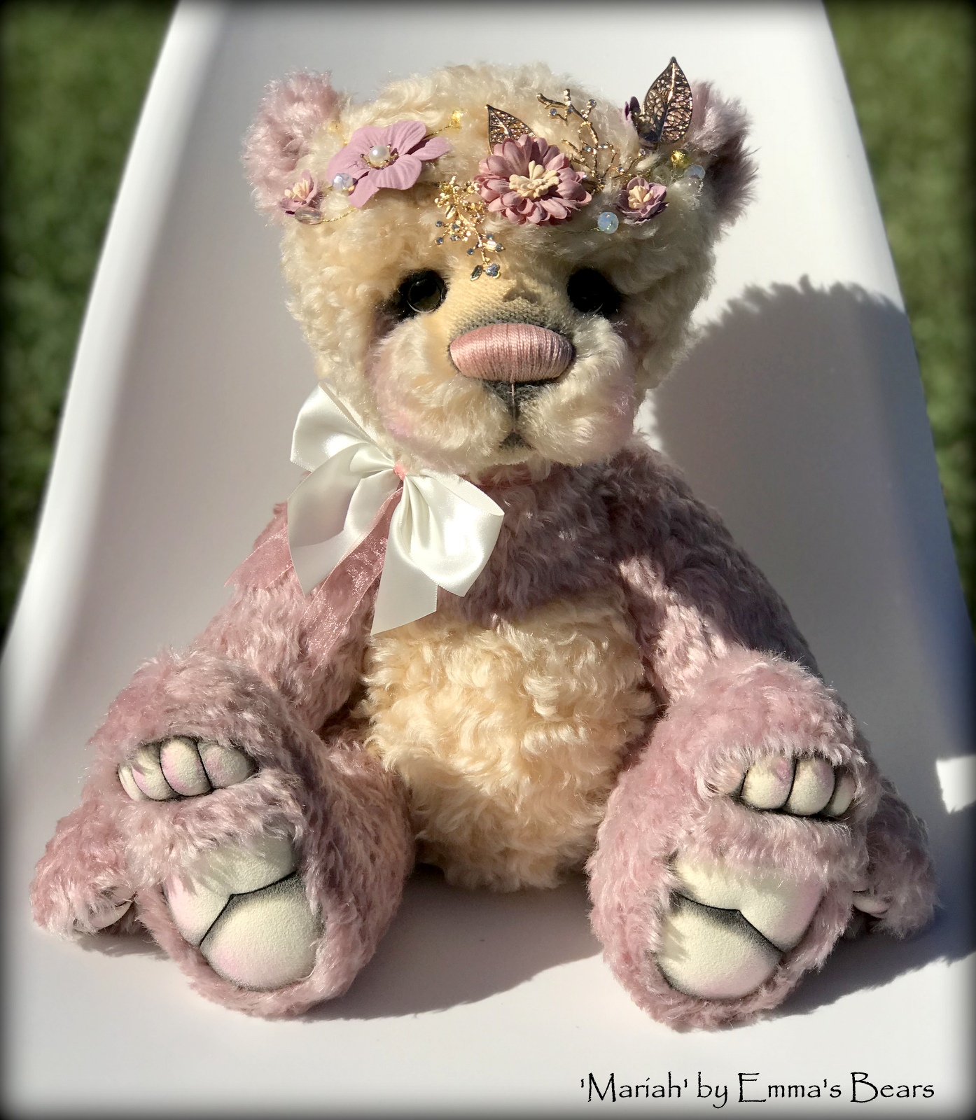 The Inner World of Emma's Bears