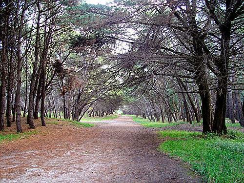Parque Miguel Lillo, uno de los destinos más convocantes de la Costa en ...