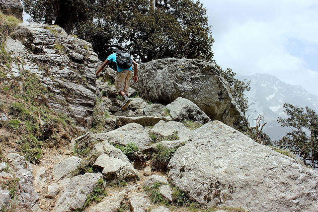 Triund Trek from McLeodganj | Insight India : A Travel Guide to India