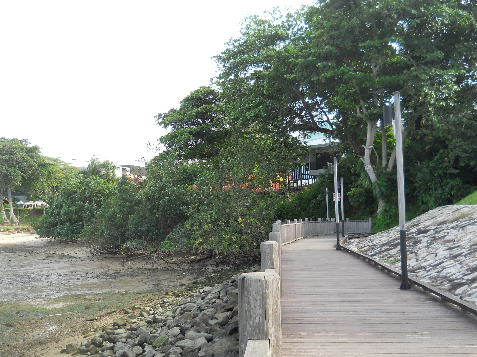 Lens On: Changi Beach Park