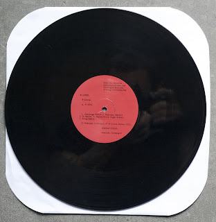 Art 4 Punks!: B-Lines Lp...