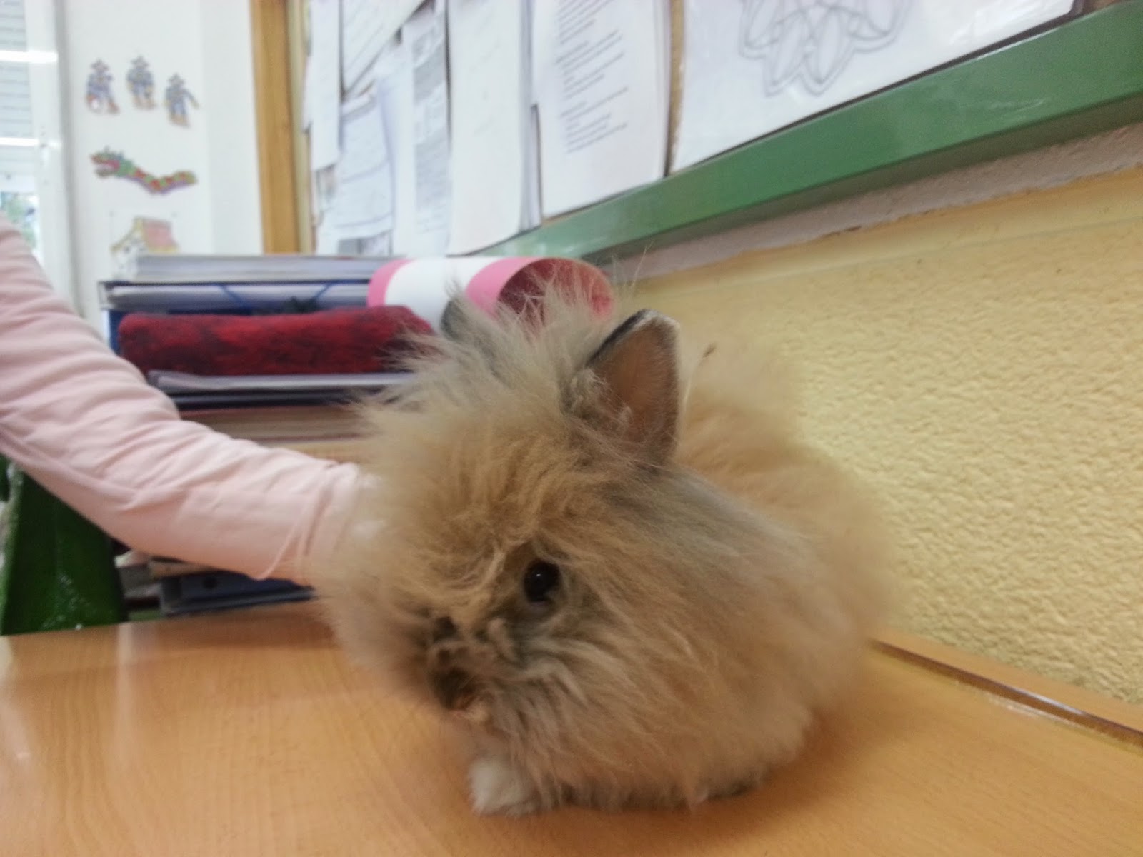 El conejo pelusín | Supercalifragilisticoespialidoso | Blog Educativo