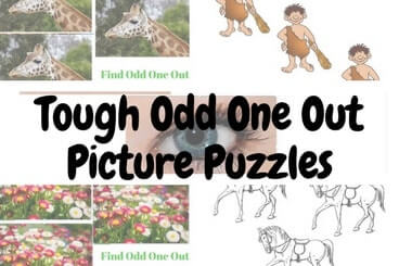 Tough Odd One Out Picture Puzzles for Teens and Adults with answers-Fun ...