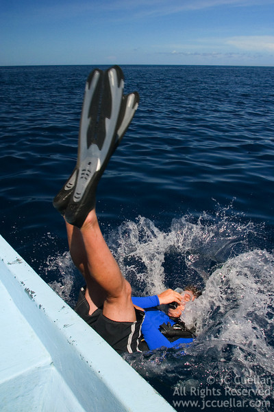 The New Rostra (rostra novum) a new blog: Scuba diving Part II: The ...