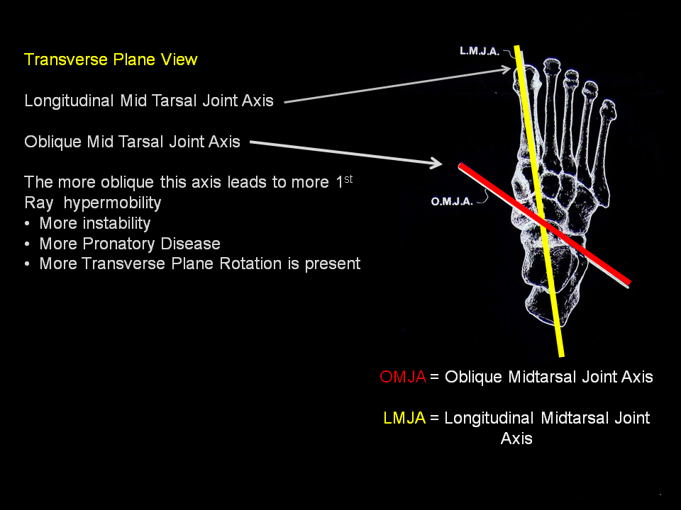 Medical Case Histories and Treatment
