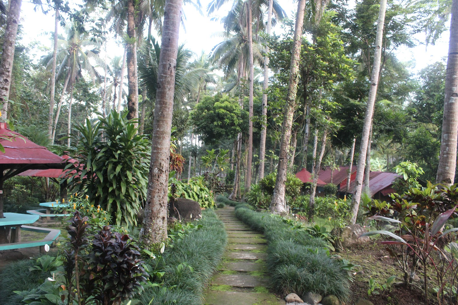 LEXICAL CROWN: LILIW RESORT: A COMPLETELY LUSH FOREST PARADISE